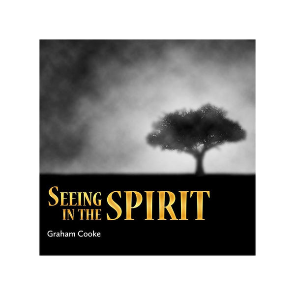 Seeing in the Spirit – brilliant-book-house